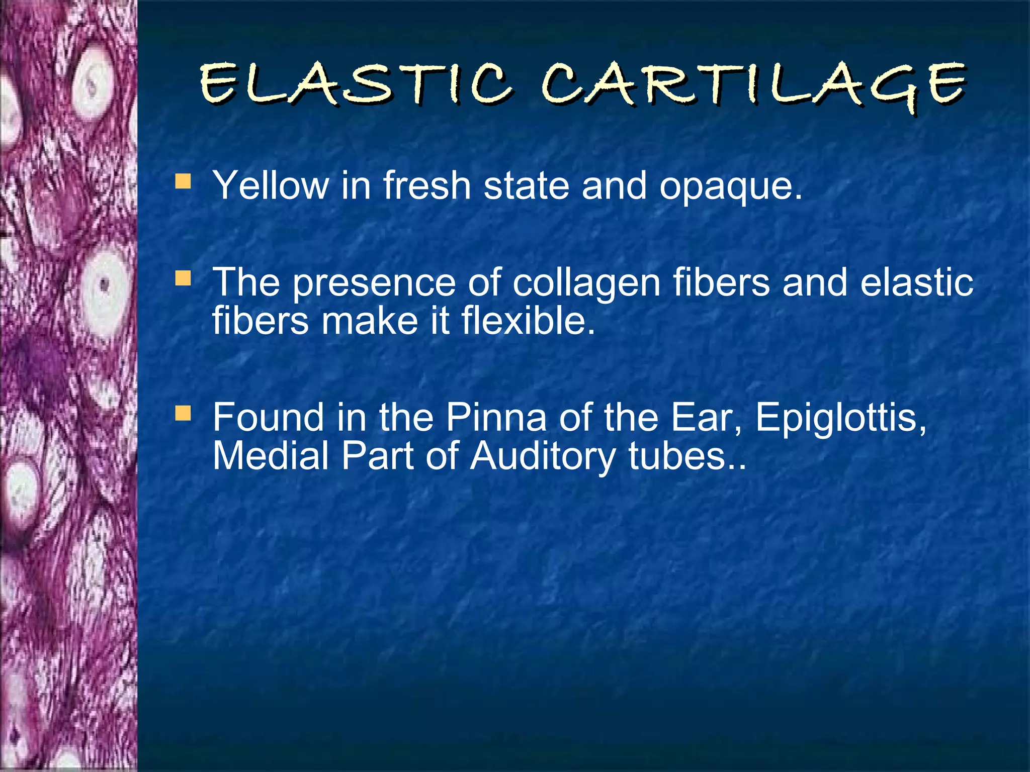 Cartilage and Bone | PPT