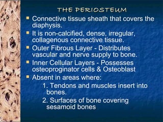 Cartilage and Bone | PPT
