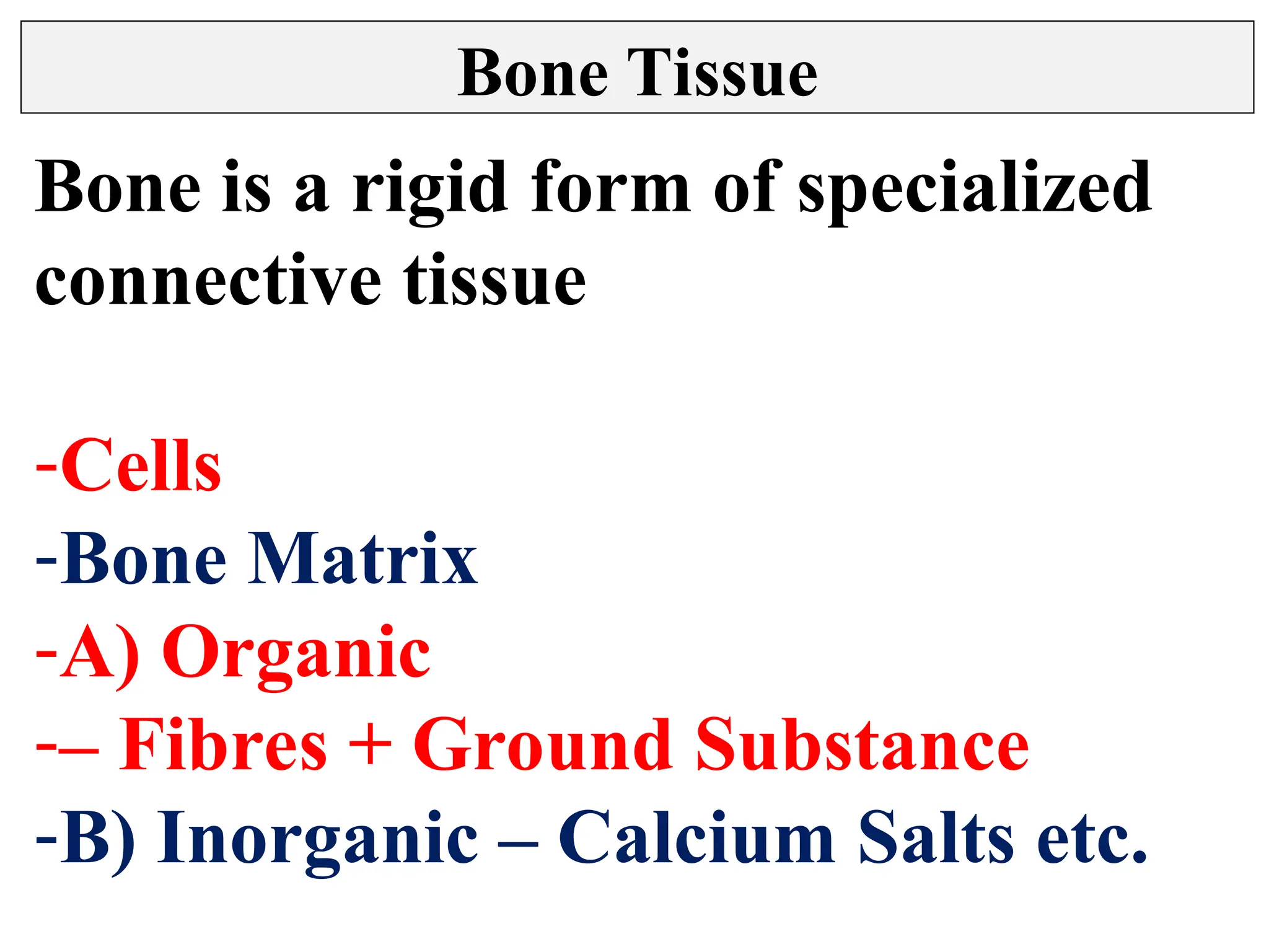 Bone Tissue - Histology, Cells, Fibers, Structure, Location | PPT