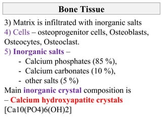 Bone Tissue - Histology, Cells, Fibers, Structure, Location | PPT