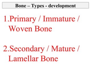 Bone Tissue - Histology Slides - Identification & Types | PPT