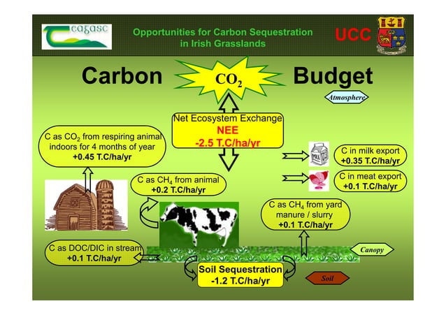 Presentation TEAGASC | PPT
