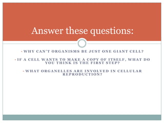 06 cell growth and reproduction | PPTX