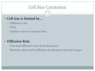 06 cell growth and reproduction | PPTX