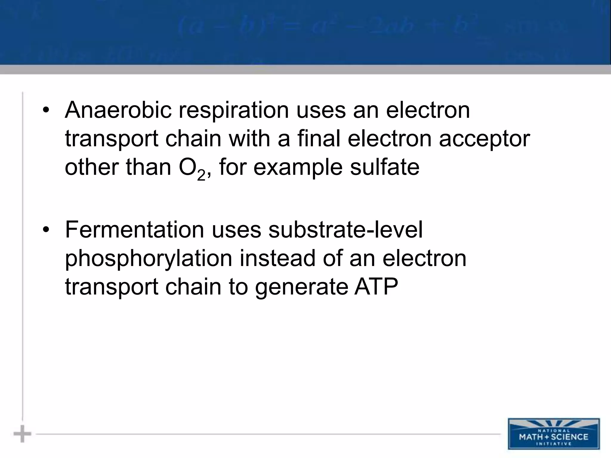 05_Cell_Respiration_Fermentation_Anaerobic_and_More.pptx