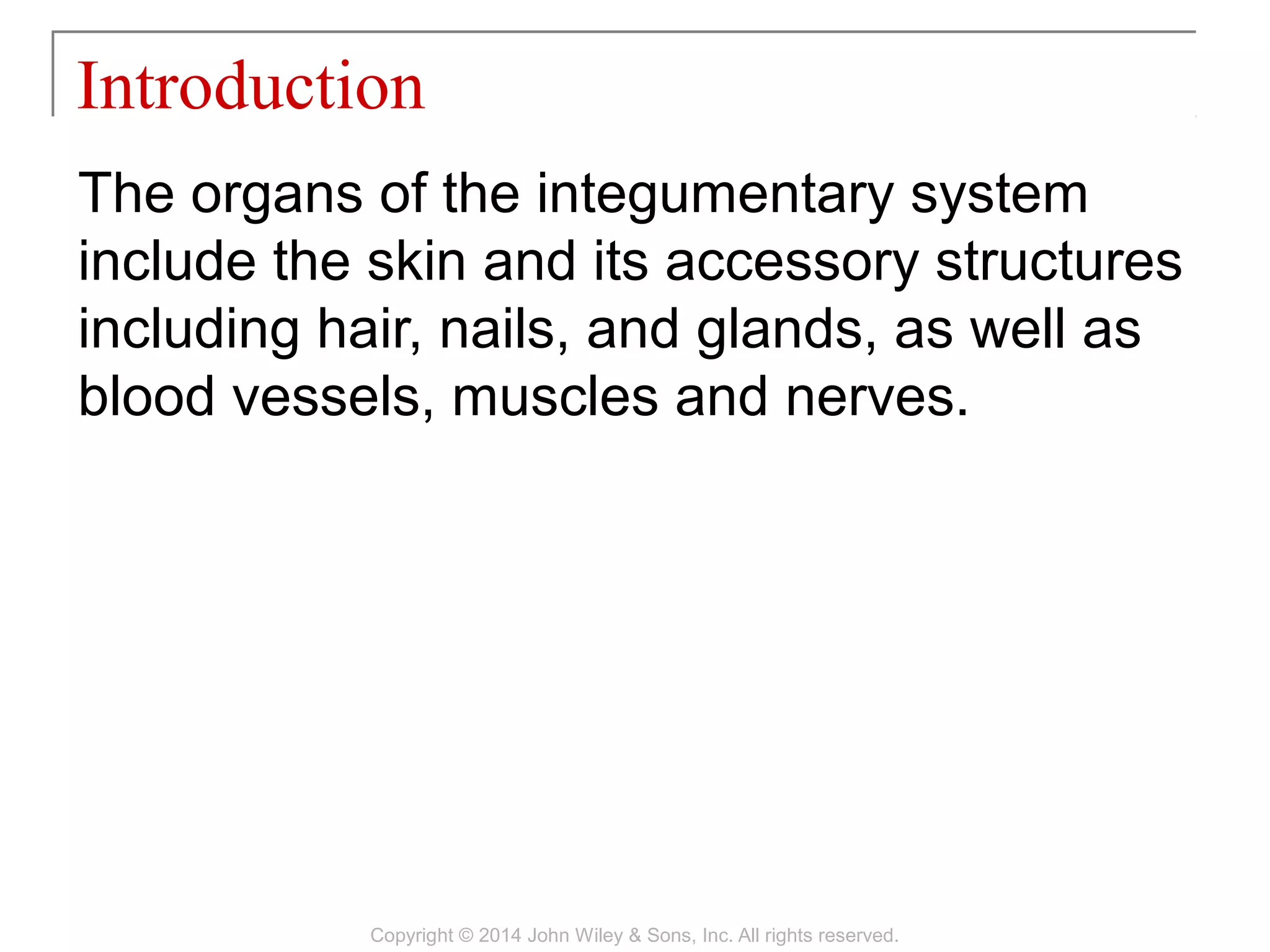 05 [chapter 5 the integumentary system] | PPT