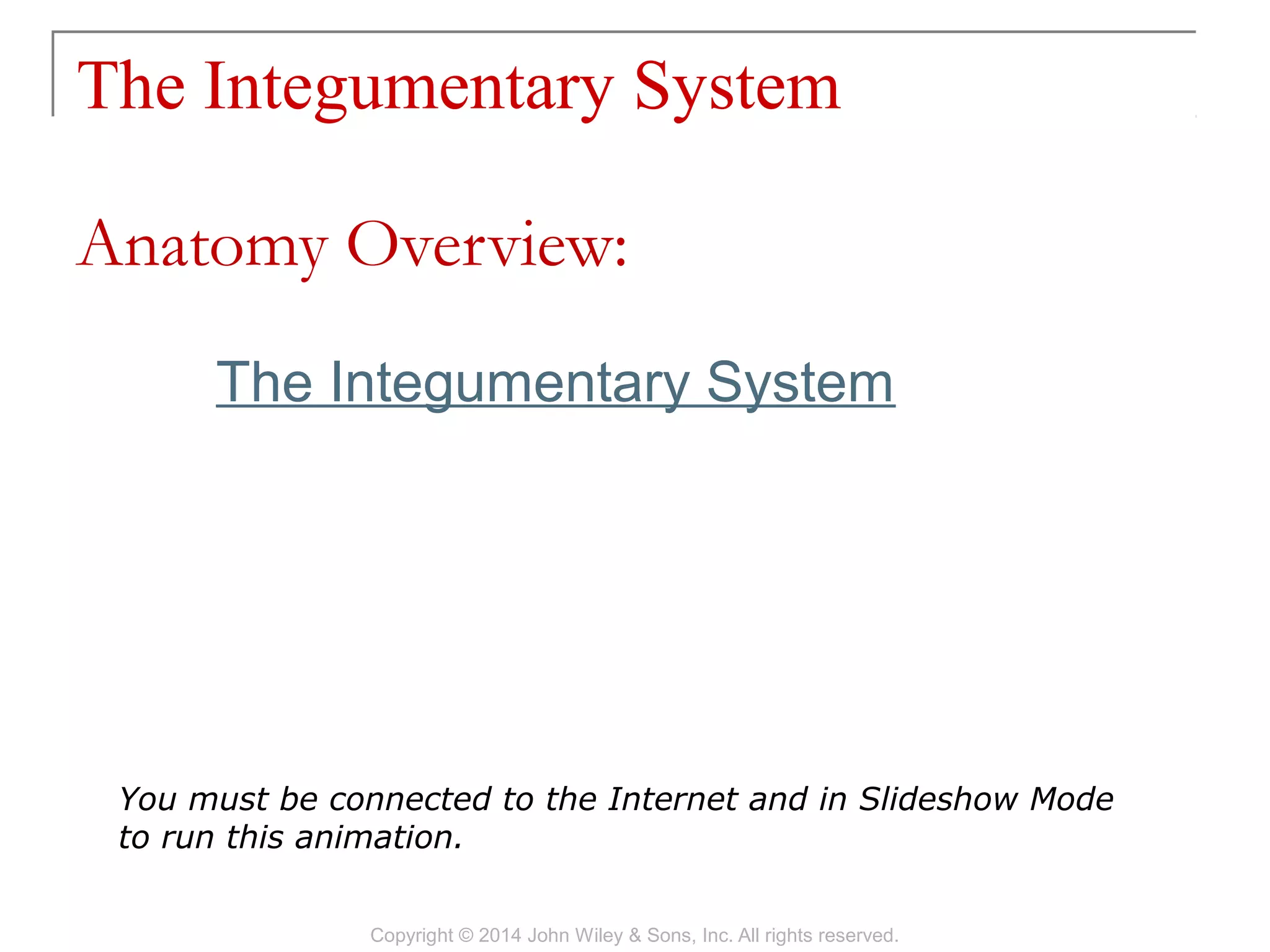 05 [chapter 5 the integumentary system] | PPT