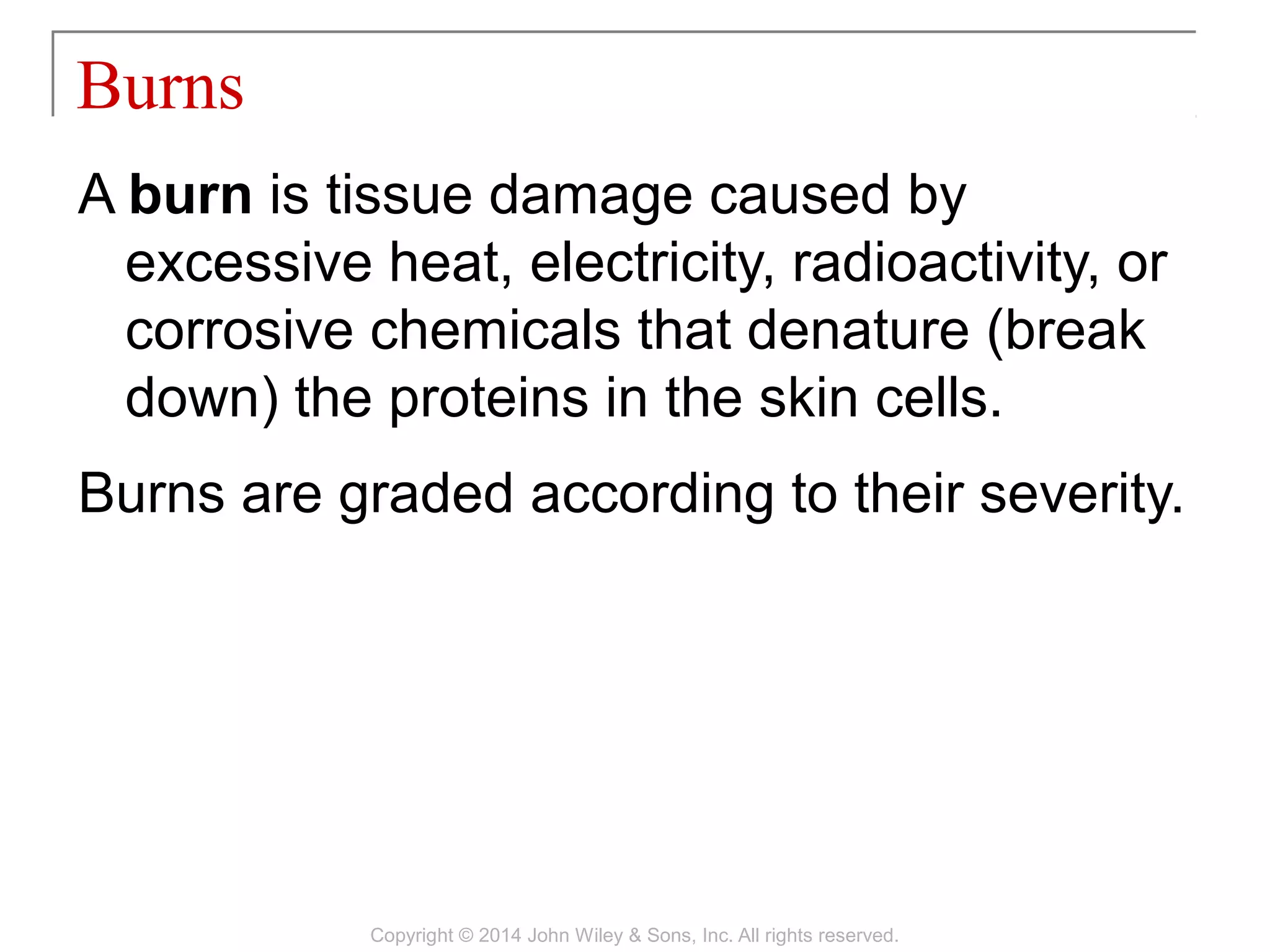 05 [chapter 5 the integumentary system] | PPT