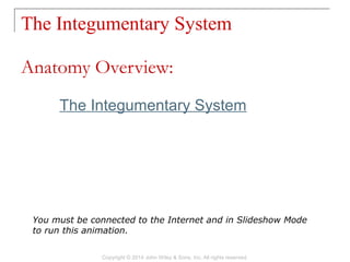 05 [chapter 5 the integumentary system] | PPT