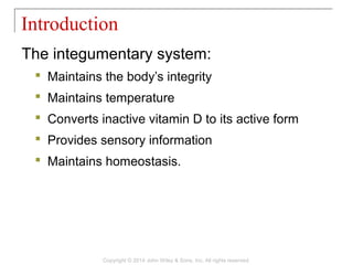 05 [chapter 5 the integumentary system] | PPT