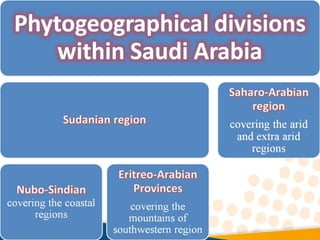 Chorology | PPT