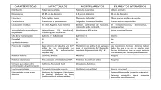 05 Citoplasma y Citoesqueleto (1) (1).pptx