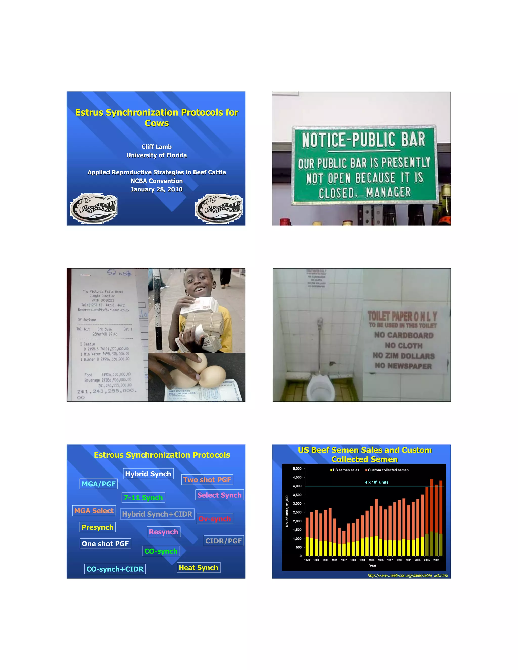 Cliff Lamb - Estrus Synchronization Protocols for Cows | PDF