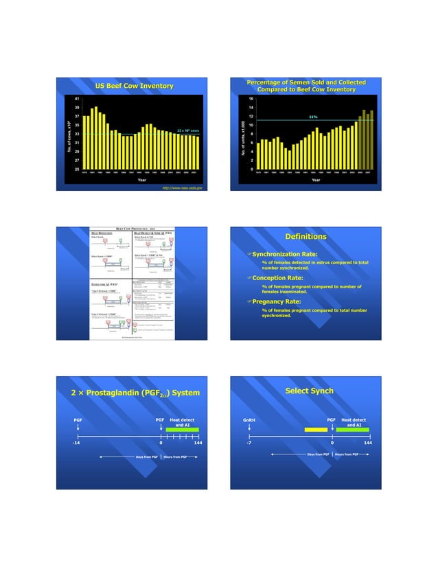 Cliff Lamb - Estrus Synchronization Protocols for Cows | PDF