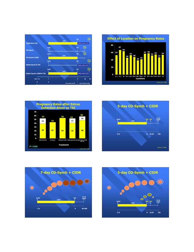Cliff Lamb - Estrus Synchronization Protocols for Cows | PDF