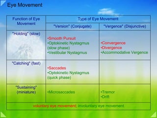 05d eye movement control | PDF