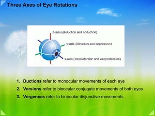 05d eye movement control | PDF
