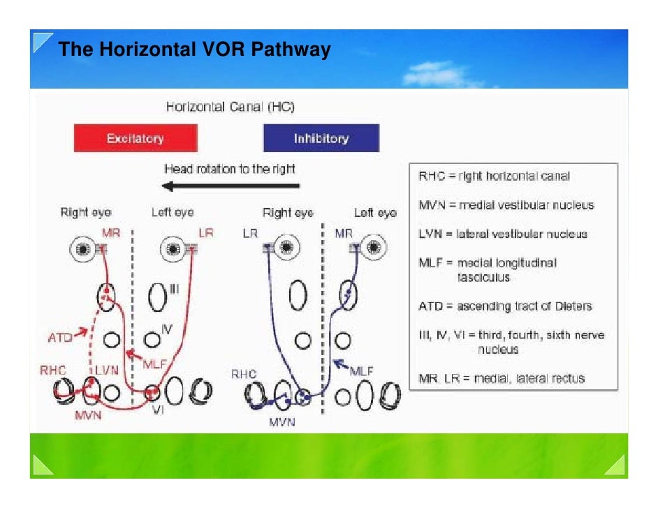 05d eye movement control
