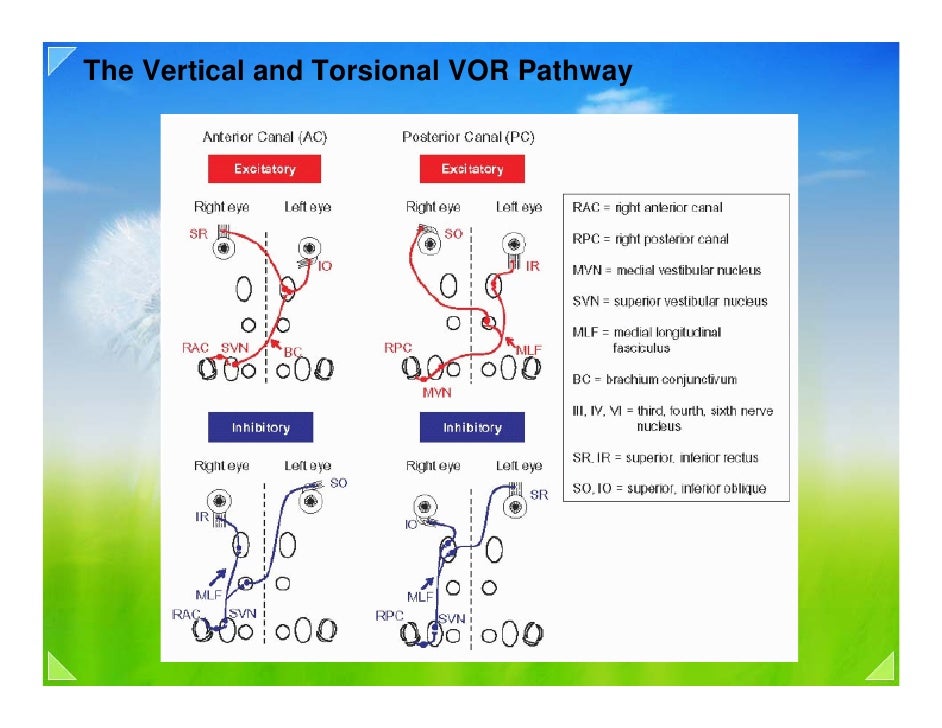 05d eye movement control