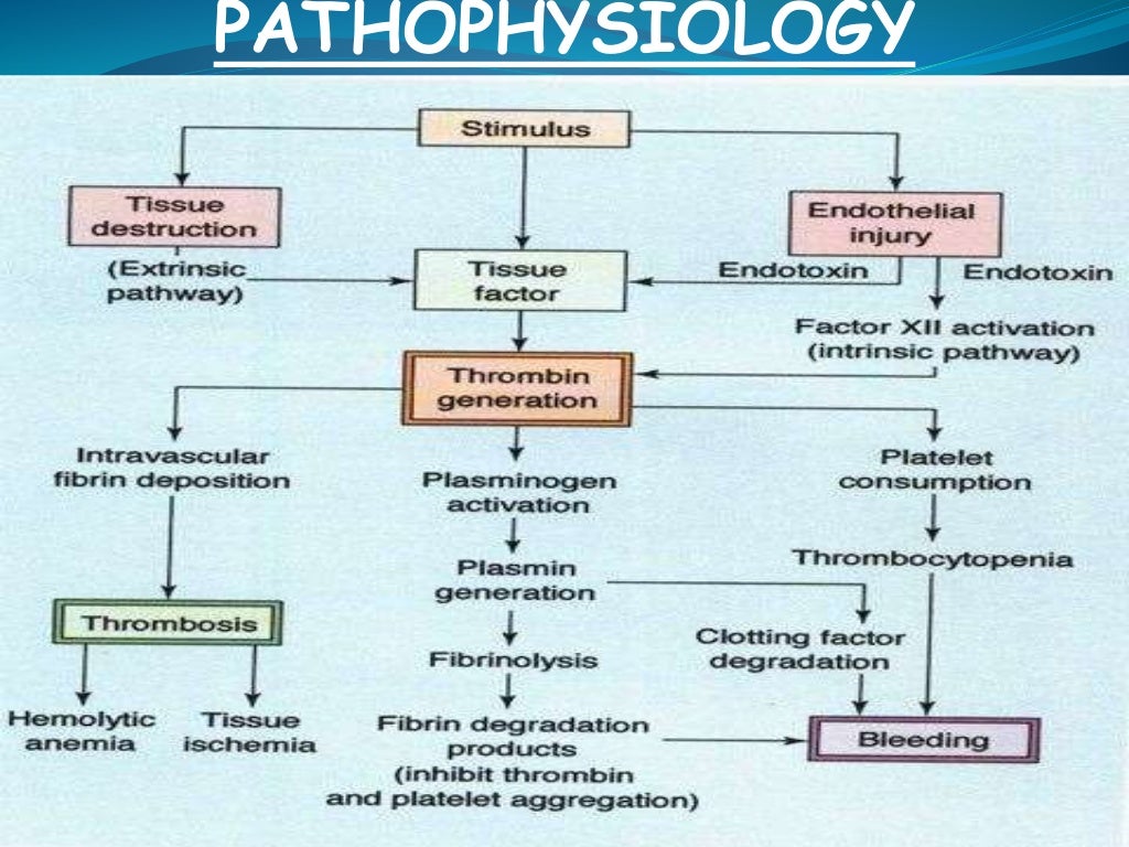 05 disseminated intravascular coagulation