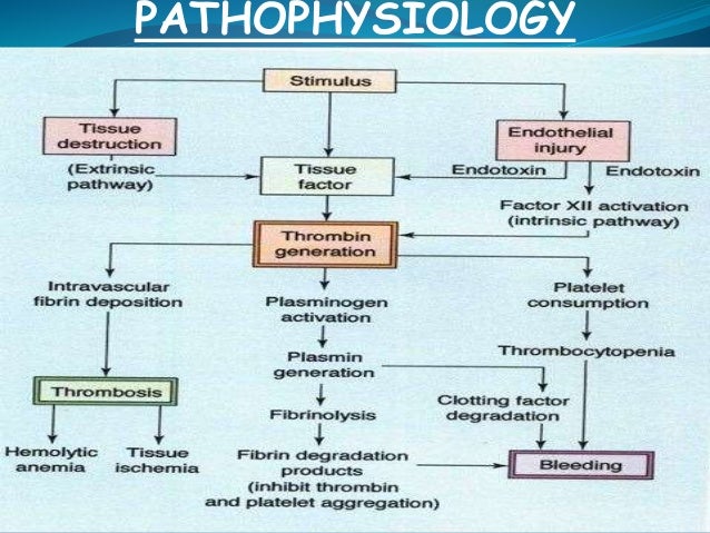 05 disseminated intravascular coagulation