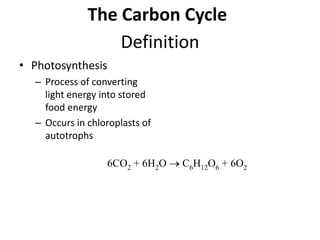 05 ecological niches and cycles | PPTX