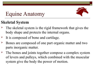 Banahjaajjajequine anatomy physiology.ppt