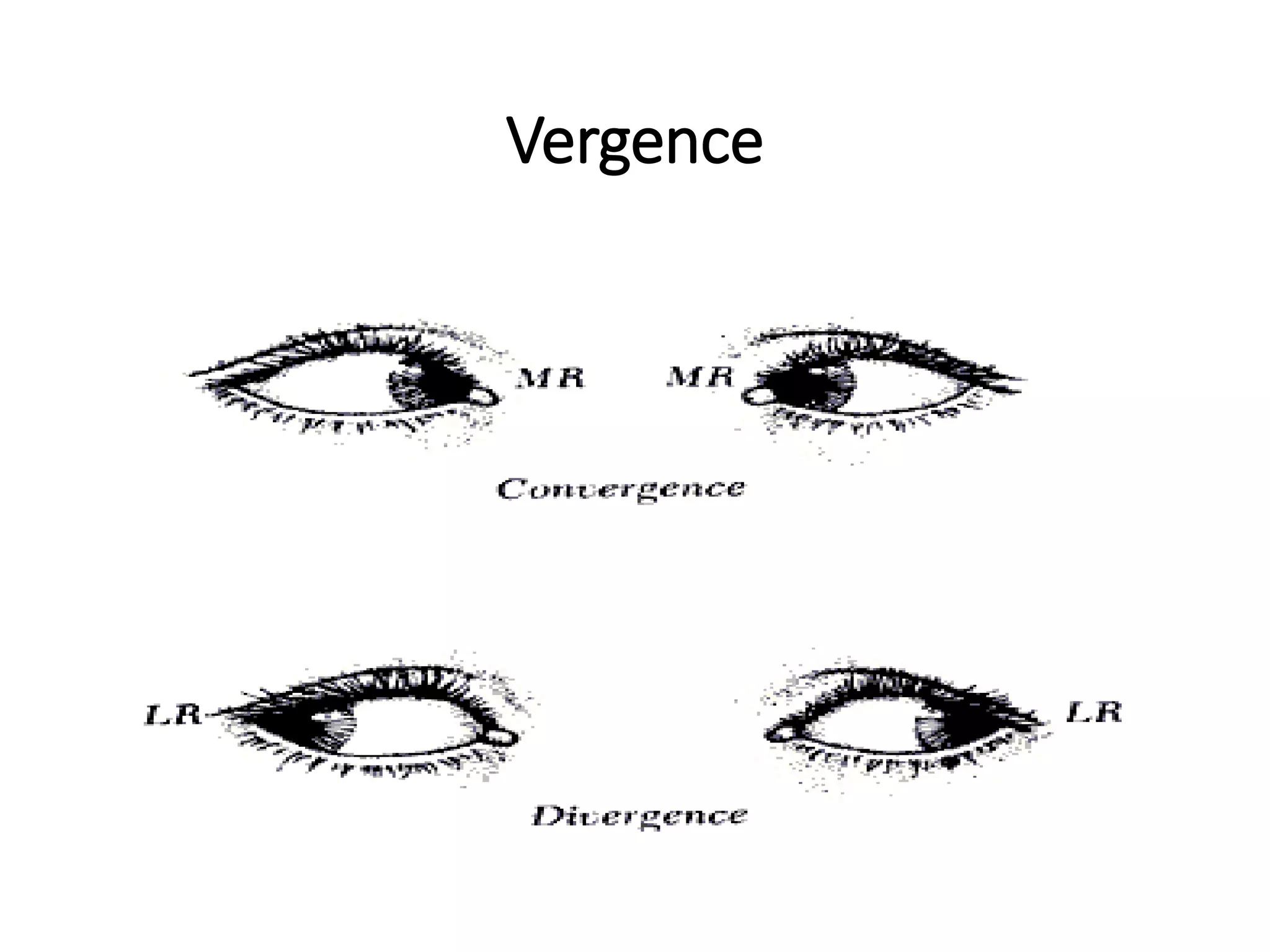 Eye Movements.pptx