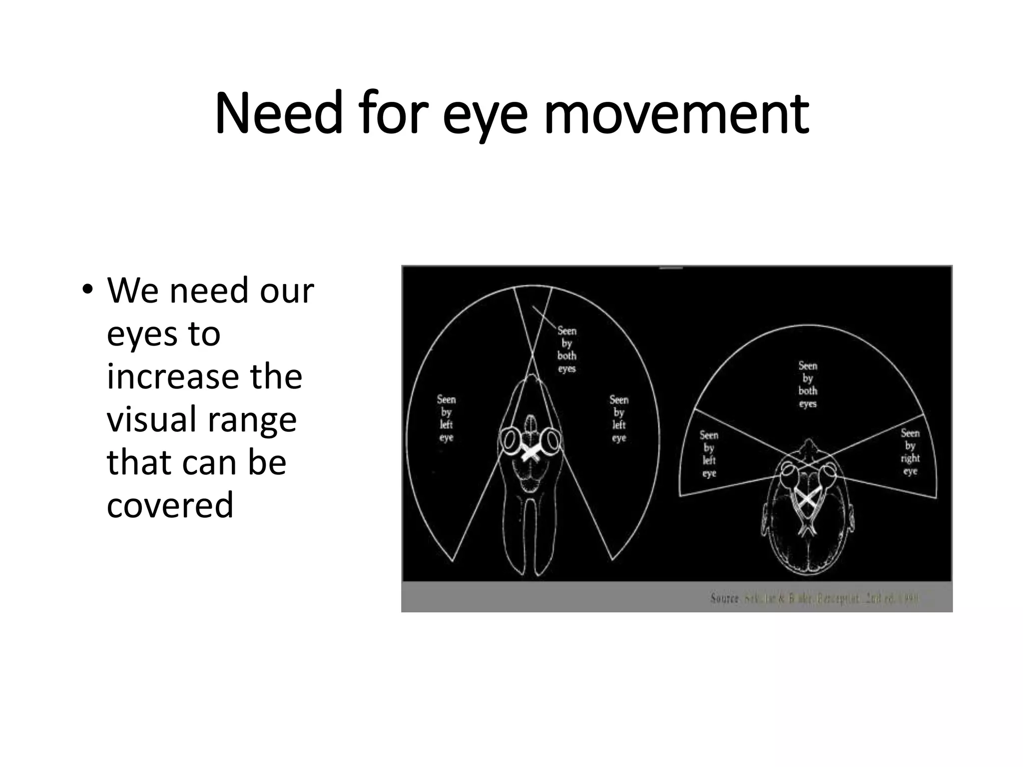Eye Movements.pptx