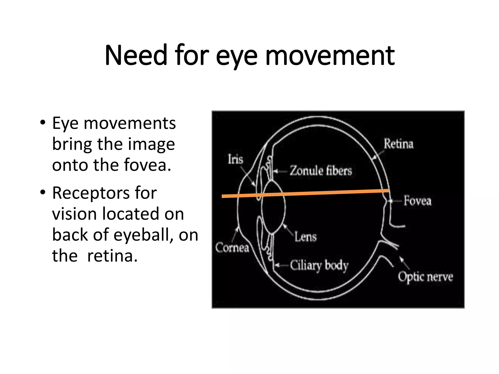 Eye Movements.pptx