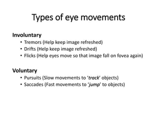 Eye Movements.pptx