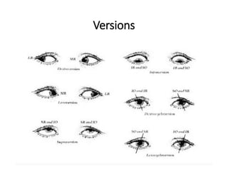 Eye Movements.pptx