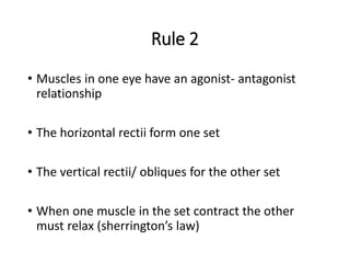 Eye Movements.pptx