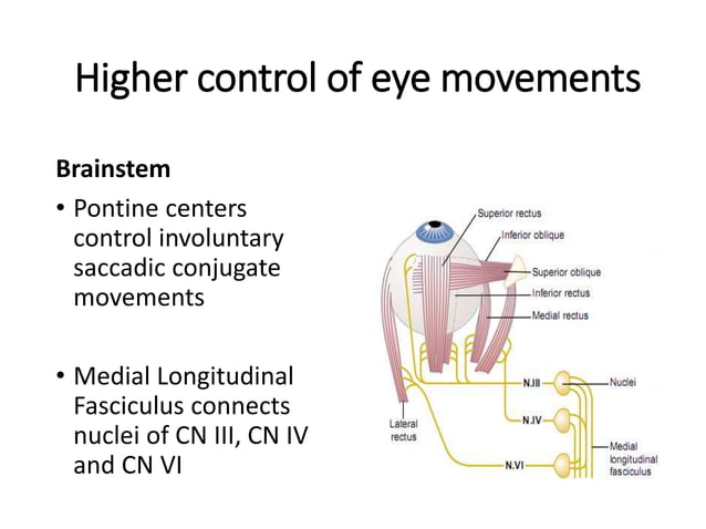 Eye Movements.pptx | Eye and Vision Conditions | Diseases and Conditions