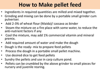 farm made feed for carp culture | PPTX | Agriculture | Industries