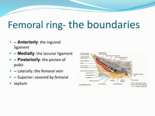 05 FEMORAL-TRIANGLE.pptx