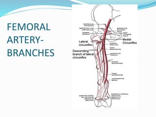05 FEMORAL-TRIANGLE.pptx