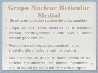 05 formacion reticular | PPT