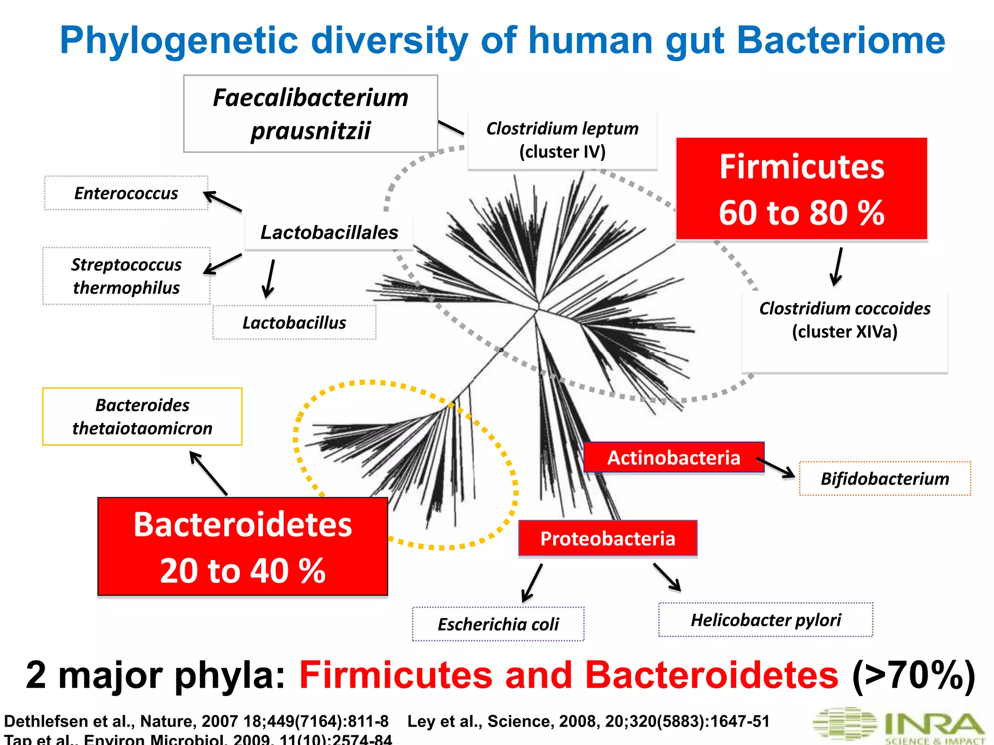 Microbiota intestinale e Patologie Neurodegenerative | PPTX