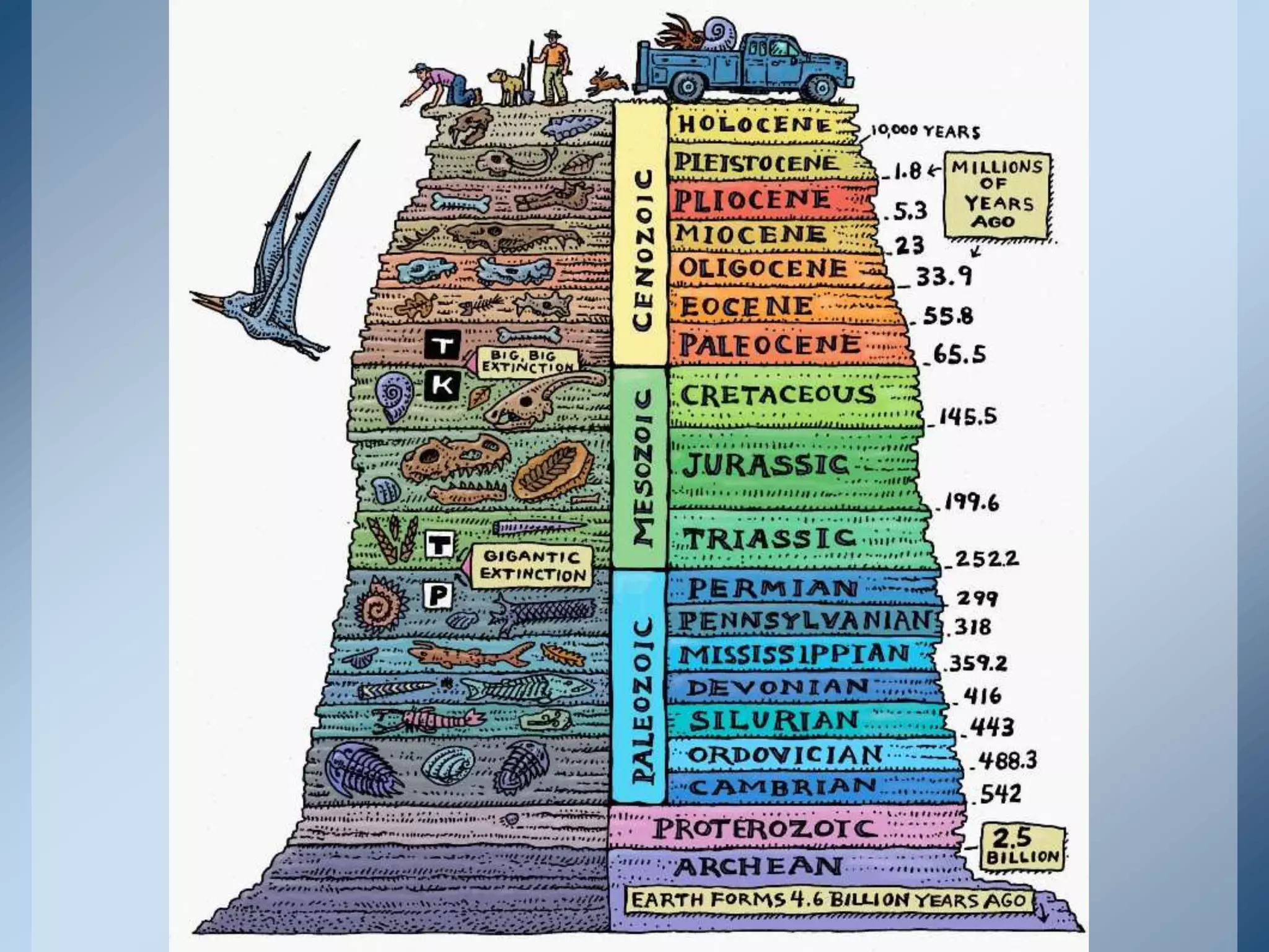 05 geologic timeline (1) | PPTX