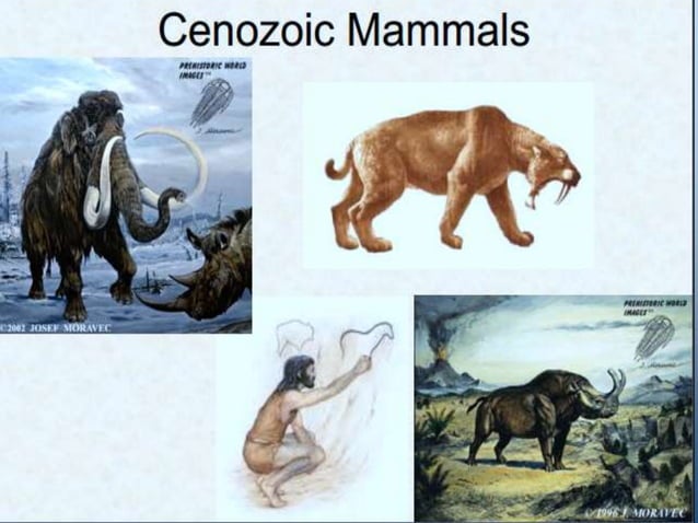 05 geologic timeline (1) | PPTX
