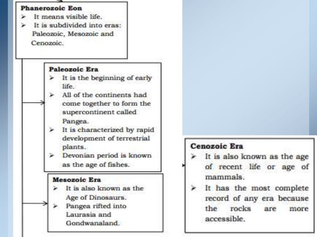 05 geologic timeline (1) | PPTX