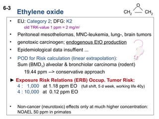 05 gisela degen | PPT