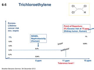 05 gisela degen | PPT