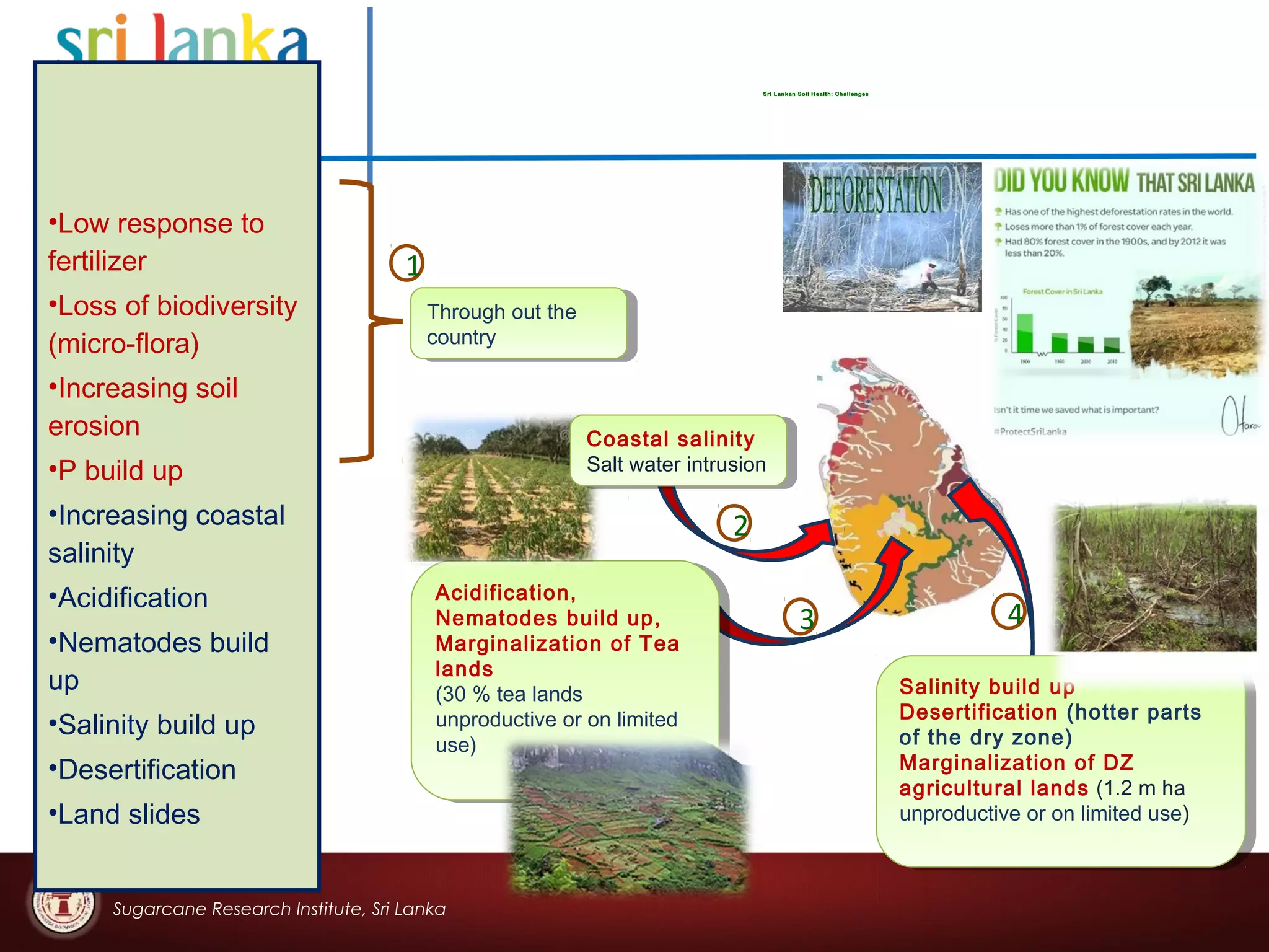 Sri Lankan Soil Health: Issues, Challenges, Initiatives and Priority ...
