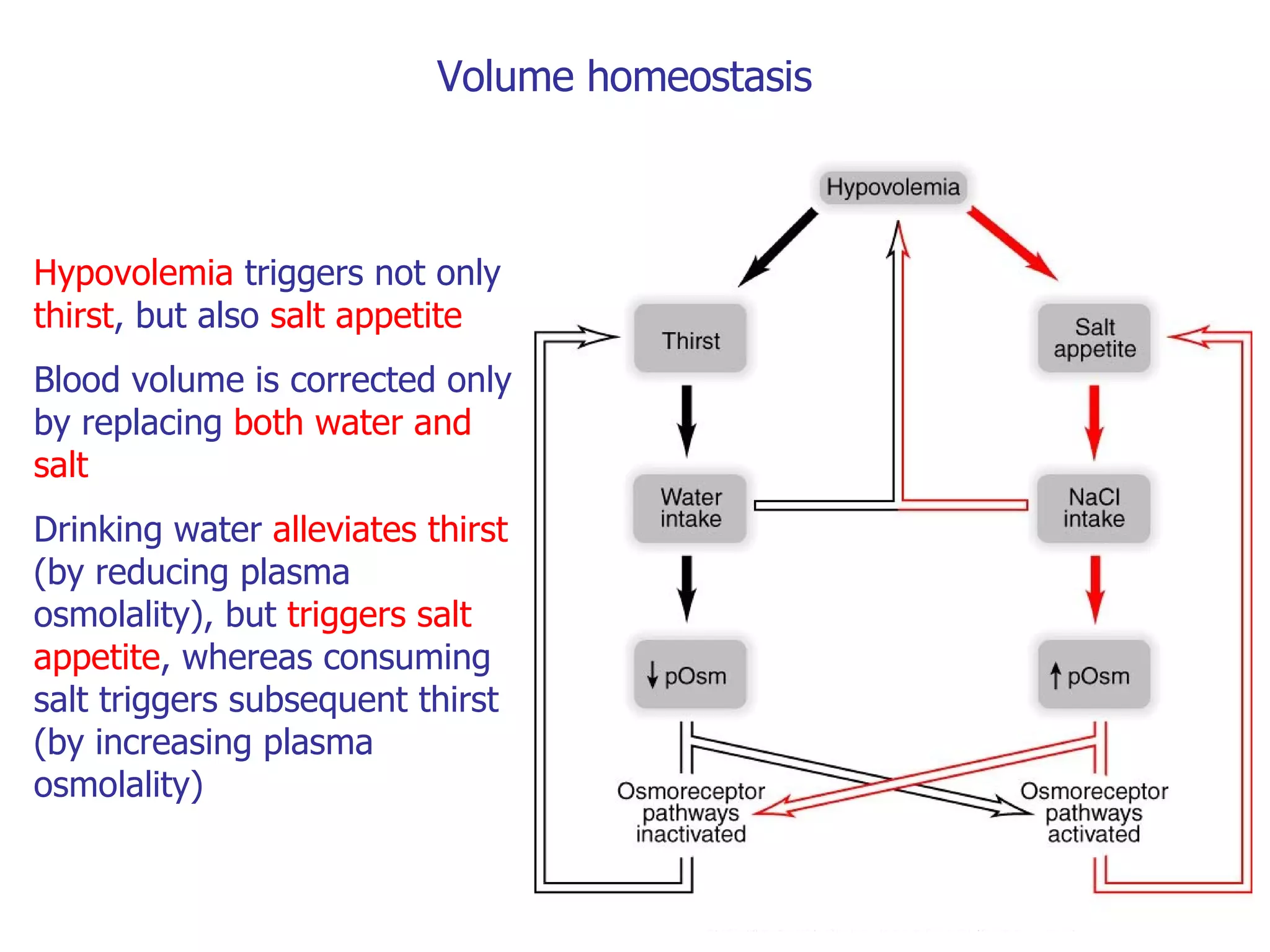 HOMEOSTASIS | PPT