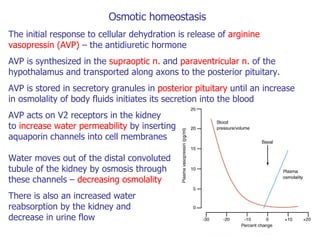 HOMEOSTASIS | PPT | Chemistry | Science