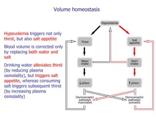 HOMEOSTASIS | PPT | Chemistry | Science