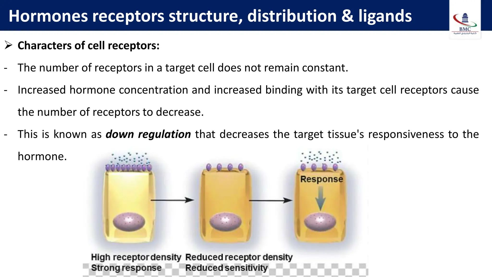 05_Hormones and their receptors.pdflecture about hormones lecture about ...
