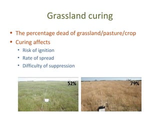Ian Grant_Grassland curing derived from near-real-time MODIS satellite ...